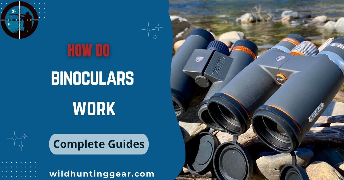 How Do Binoculars Work? (A Complete Guides And Reviews)